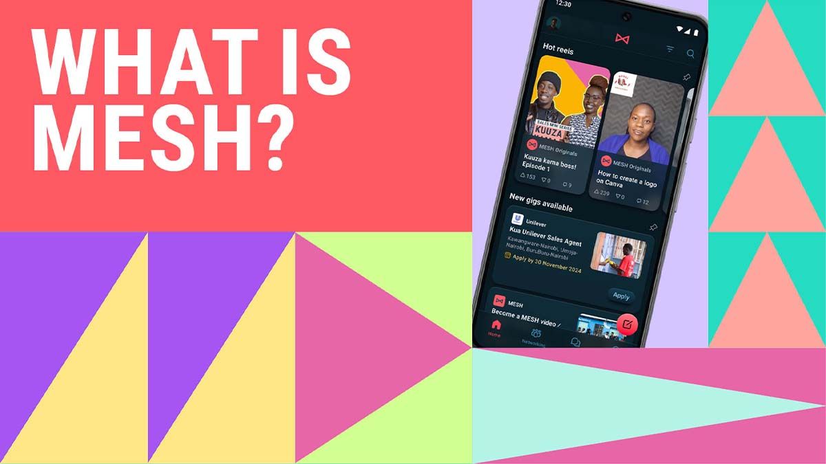 What is MESH? Africa’s first professional social network explained.